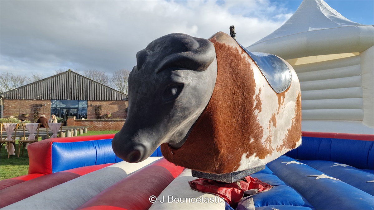 Rodeo Bull - Hire in Beverley | J Bouncetastic